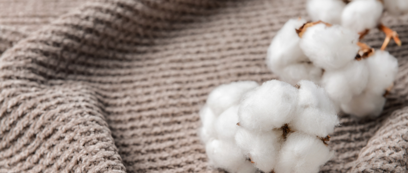 New Cotton Project, la rivoluzione sostenibile del tessile